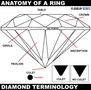 ANATOMY OF A RING – Jewelry Secrets
