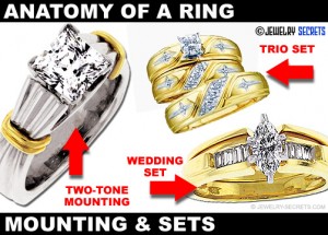 ANATOMY OF A RING – Jewelry Secrets