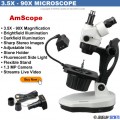 BEST HOME USE JEWELER’S MICROSCOPES – Jewelry Secrets