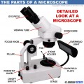 BEST HOME USE JEWELER’S MICROSCOPES – Jewelry Secrets
