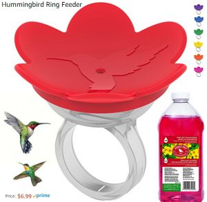 HUMMINGBIRD RING FEEDERS – Jewelry Secrets