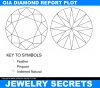 WHAT’S THE DIFFERENCE BETWEEN INCLUSIONS AND BLEMISHES? – Jewelry Secrets