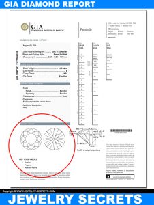 WHAT’S THE DIFFERENCE BETWEEN INCLUSIONS AND BLEMISHES? – Jewelry Secrets