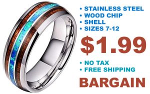 STAINLESS STEEL WOOD CHIP RING FOR ONLY $1.99 – NO TAX – FREE SHIPPING ...